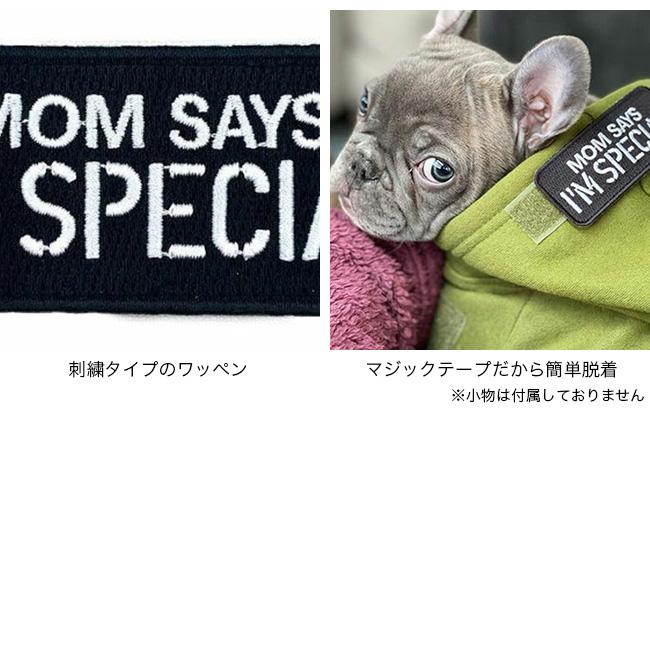 KILONINER キロナイナー マムセッズアイムスペシャルパッチ : OutdoorStyle サンデーマウンテン - 通販 - Yahoo!ショッピング