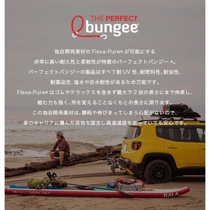 The Perfect Bungee パーフェクトバンジー パーフェクトタイダウン 12インチ(2本セット) : OutdoorStyle ...