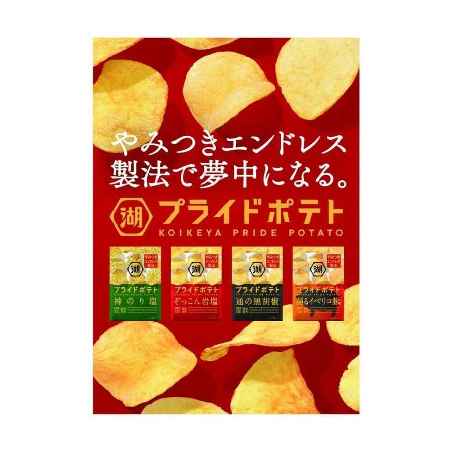 湖池屋 プライドポテト 渚のカルパッチョ 55g 【12個セット】 : サンドラッグe-shop - 通販 - Yahoo!ショッピング