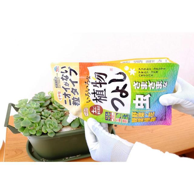 アースガーデン いろいろな植物つよし 粒タイプ 650g : サンドラッグe-shop - 通販 - Yahoo!ショッピング