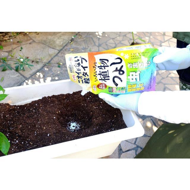 アースガーデン いろいろな植物つよし 粒タイプ 650g : サンドラッグe-shop - 通販 - Yahoo!ショッピング