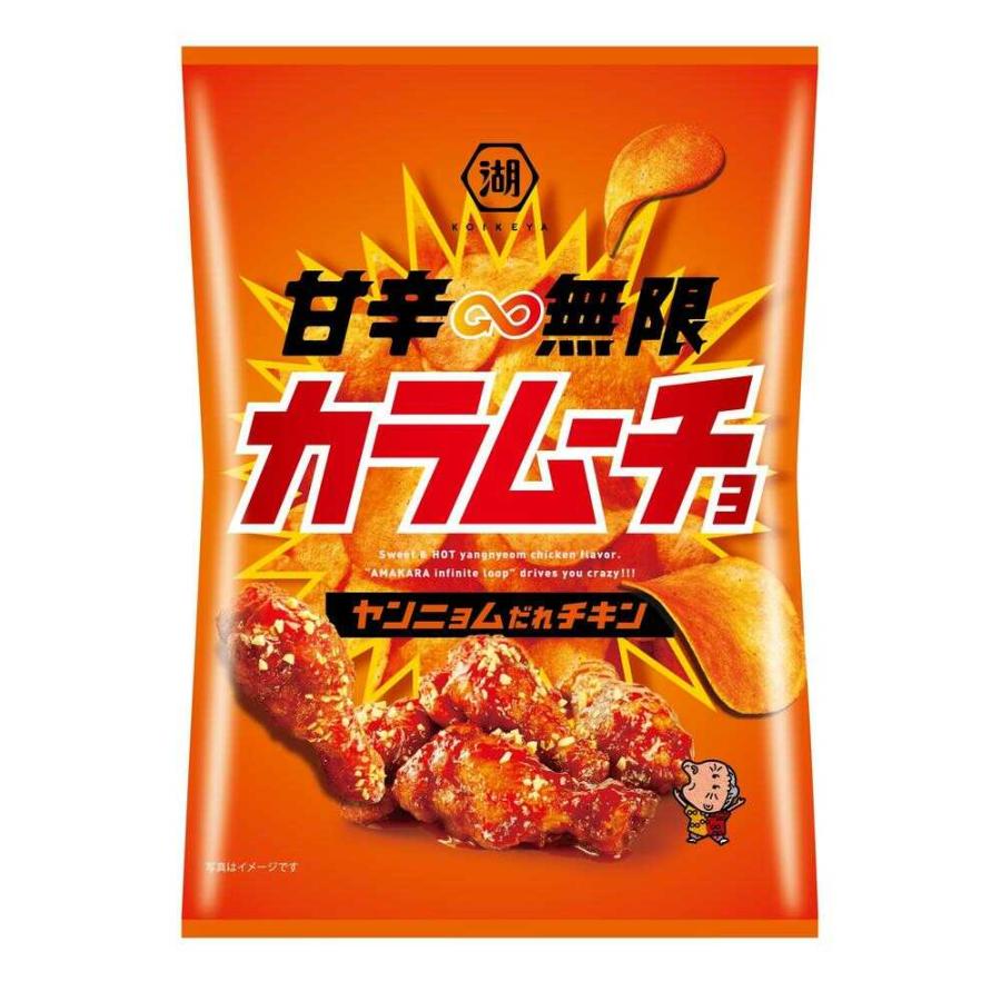湖池屋 甘辛カラムーチョヤンニョムだれチキン 53g 【12個セット】 : サンドラッグe-shop - 通販 - Yahoo!ショッピング