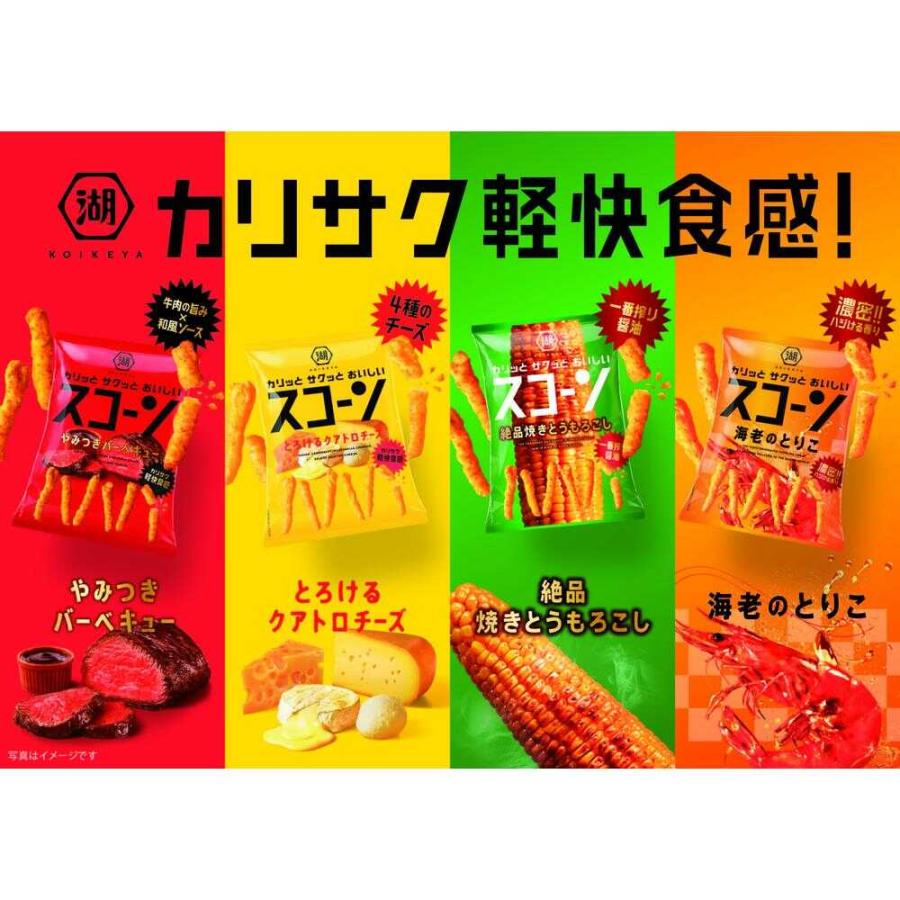 湖池屋 スコーンやみつきバーベキュー 73g 【12個セット】 : サンドラッグe-shop - 通販 - Yahoo!ショッピング