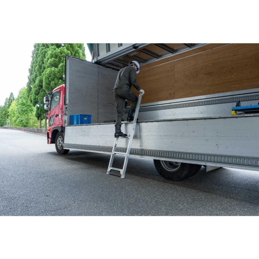 トラック昇降はしご トラックステップ LTM型 LTM15 メーカー直送 返品・キャンセル不可【他商品との同時購入不可】 : 4968757034616 : サンドラッグe-shop - 通販 ...