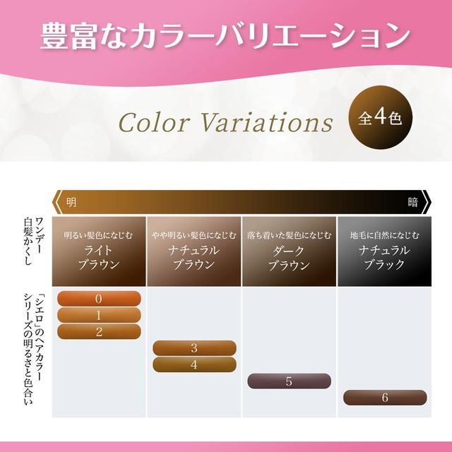 CIELO（hoyu） シエロ ワンデー白髪かくし ナチュラルブラック 9ml