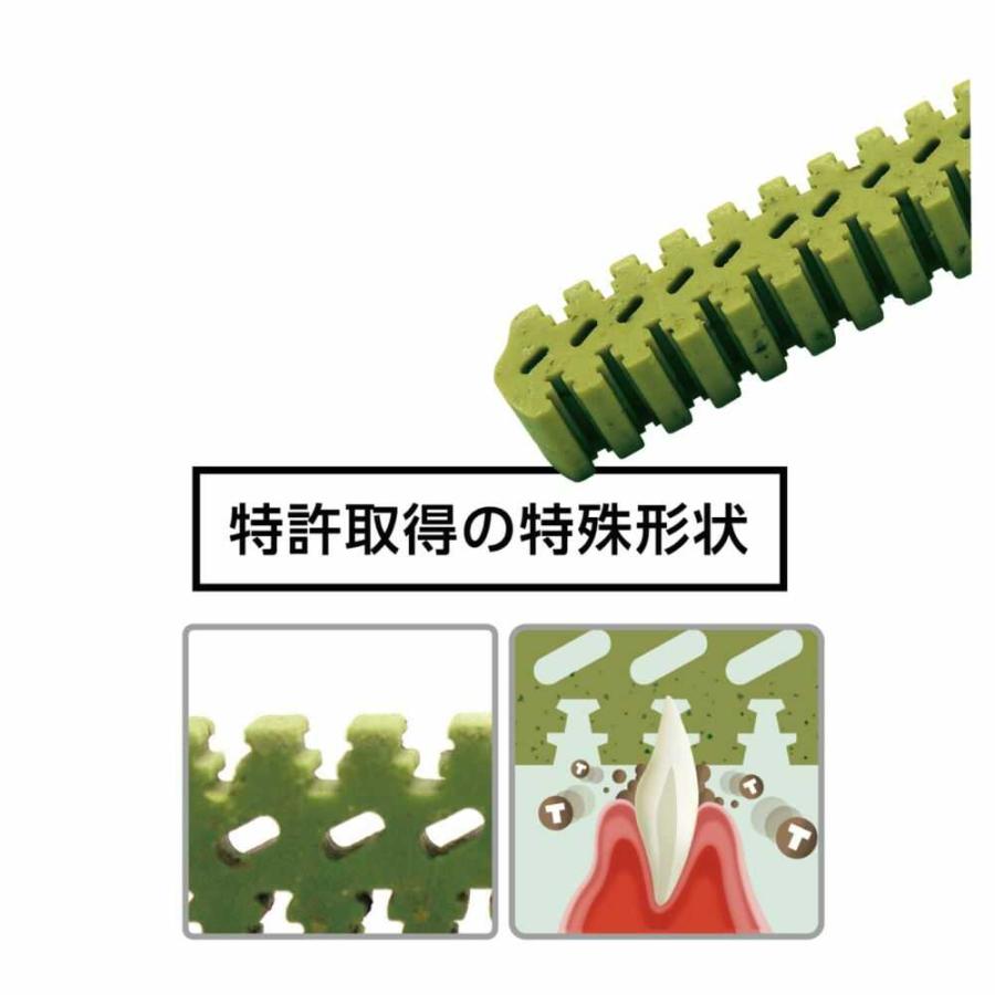 デンティ3フェアリーEX L 5本／120g : サンドラッグe-shop - 通販 - Yahoo!ショッピング