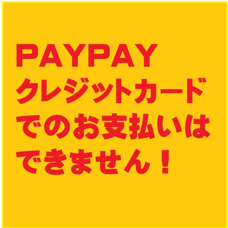 ANA(全日空）株主優待券 有効期限2025年11月30日 レターパックでの発送可 : サンドリー - 通販 - Yahoo!ショッピング