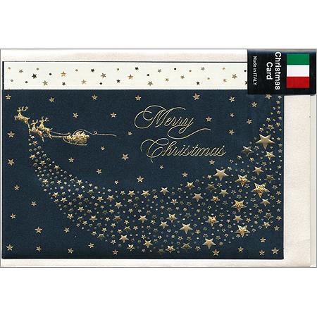 クリスマスカード イタリアカード CMGI-588 アクティブ グリーティングカード シンプル 大人 : cmgi-588 : サンフェロー - 通販 - Yahoo!ショッピング