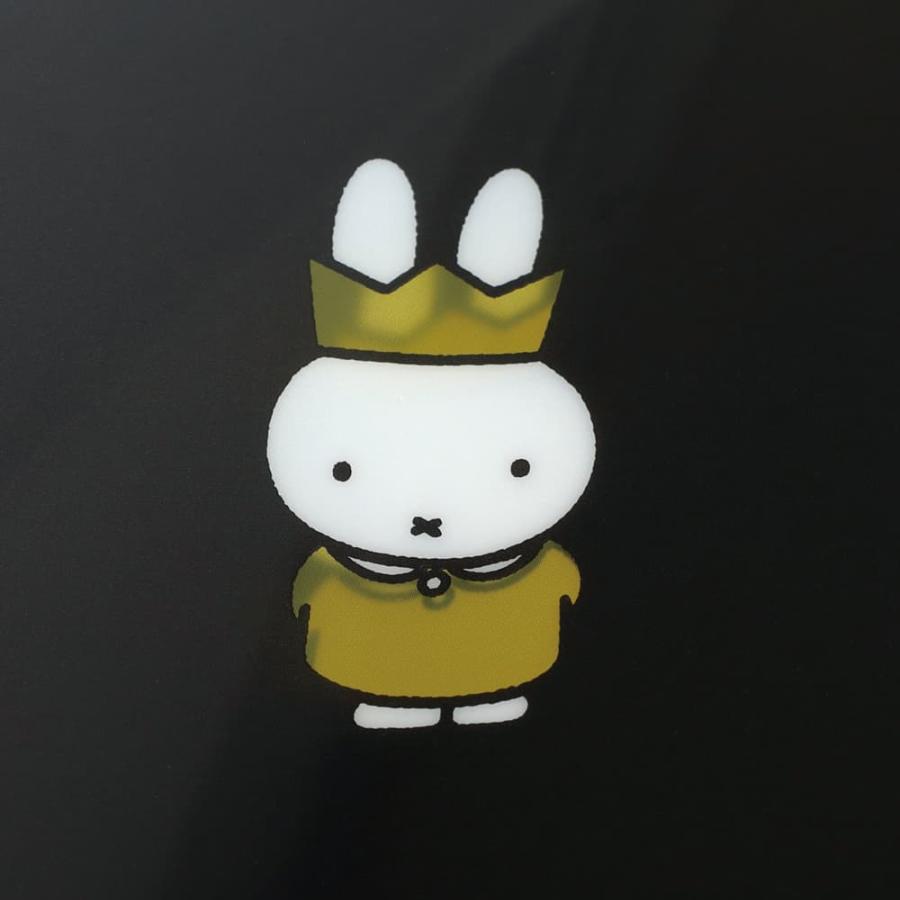 ミッフィー A4ポケットクリアファイル(Black) GMB-003 グリーンフラッシュ キャラクターグッズ miffy 70周年 文具 大人 かわいい シンプル 整理 収納 : サンフェロー ...
