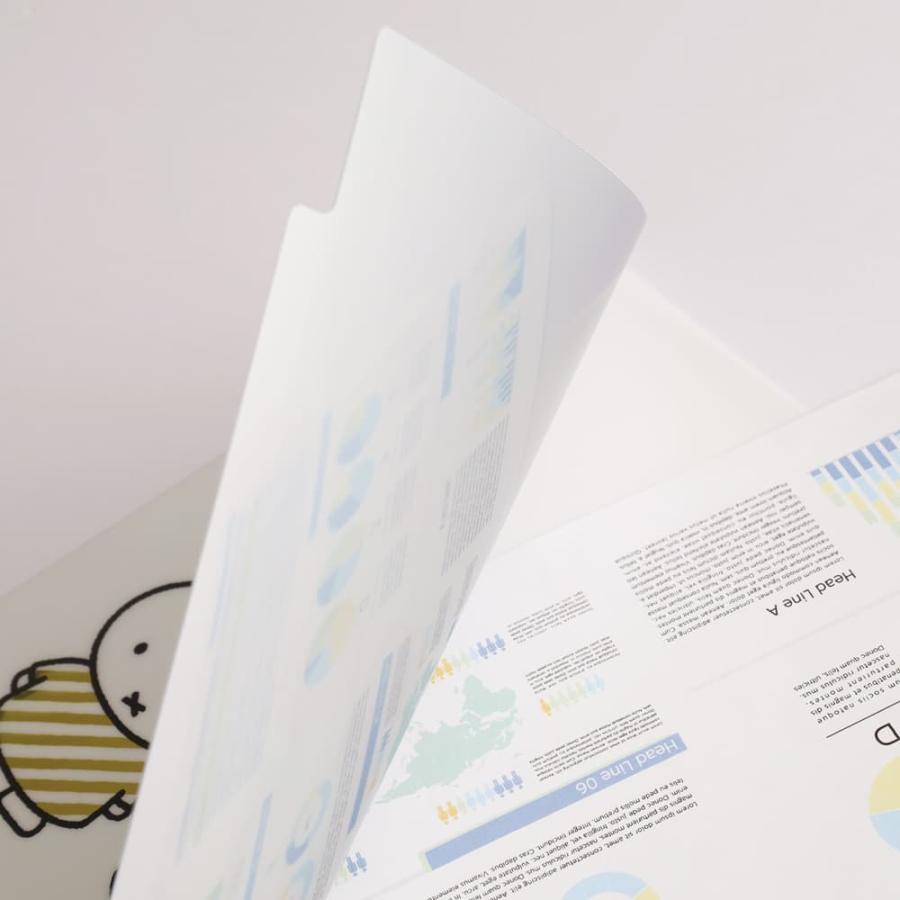 ミッフィー A4ポケットクリアファイル(Black) GMB-003 グリーンフラッシュ キャラクターグッズ miffy 70周年 文具 大人 かわいい シンプル 整理 収納 : サンフェロー ...