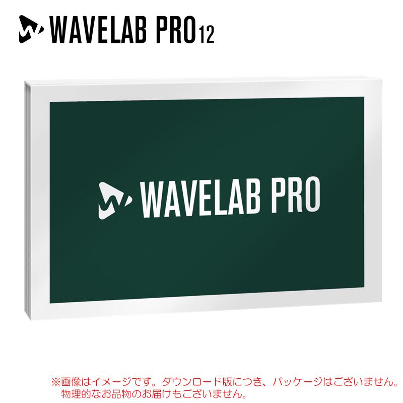 STEINBERG WAVELAB PRO 12 ダウンロード版 安心の日本正規品！ : サンフォニックスYahoo!店 - 通販 ...