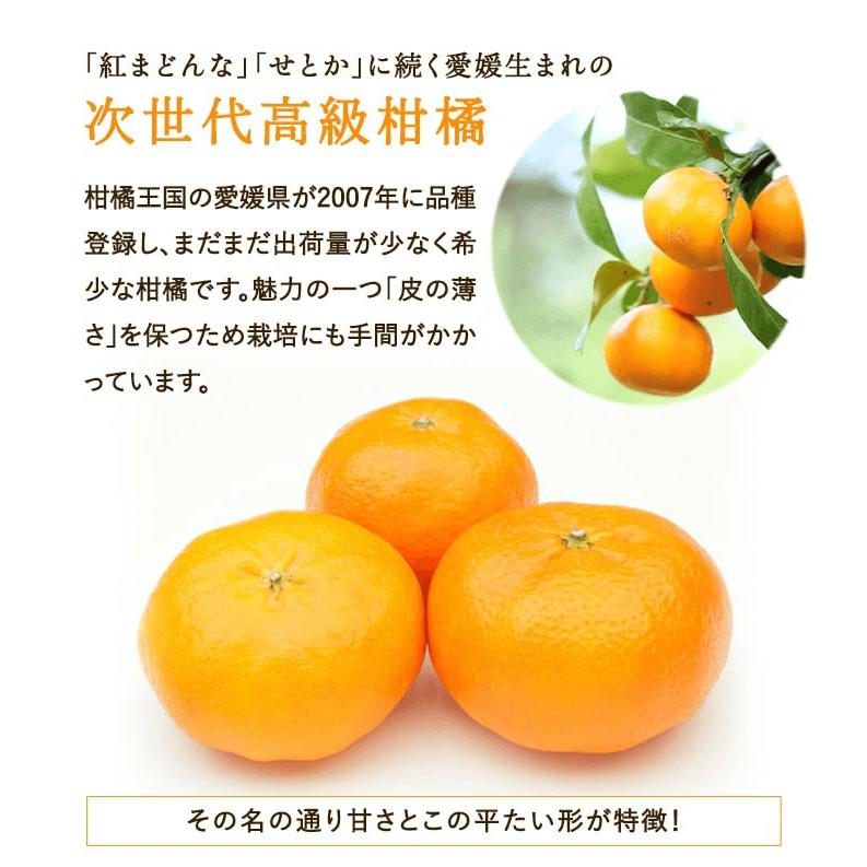【訳あり・ご自宅用】甘平 約5kg入 3L〜2Lサイズ 愛媛県産 贈り物 かんぺい フルーツ みかん サニーフルーツ岡山 : サニーフルーツ岡山 - 通販 - Yahoo!ショッピング