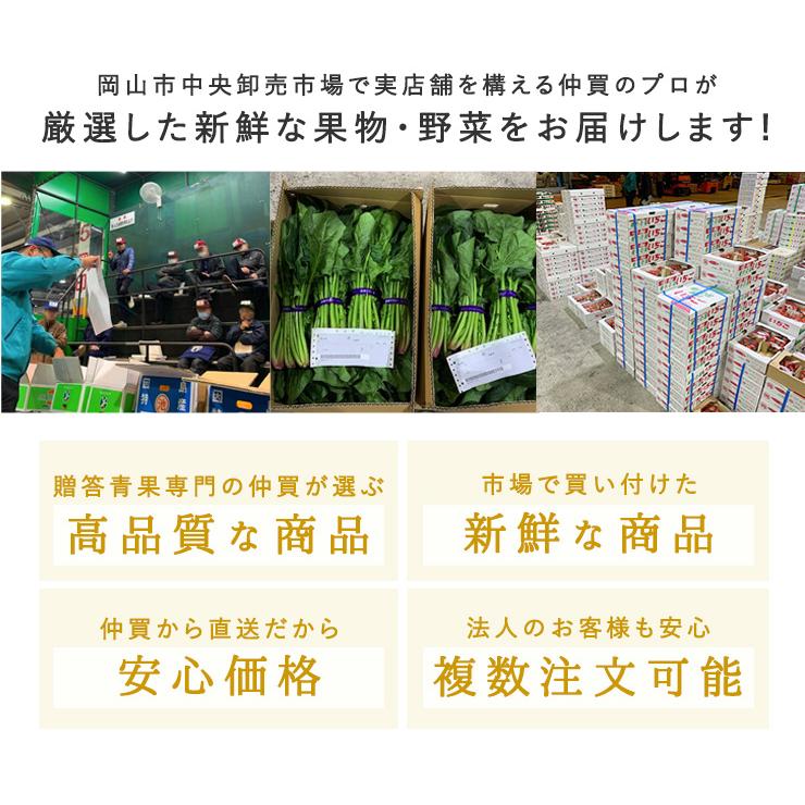愛媛県産 愛果48号 約3kg 3L〜2L 10〜12玉 化粧箱入り 愛媛果試第48号 あいか みかん 甘平 まどんな 紅プリンセス はるあいか くだもの サニーフルーツ岡山 : サニー ...