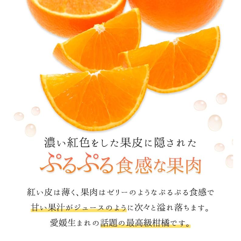 紅まどんな 2L〜3Lサイズ 約3kg 10〜12玉入り 愛媛県産 秀品 愛媛県産 贈答用 ギフト : benim003 : サニーフルーツ岡山 - 通販 - Yahoo!ショッピング