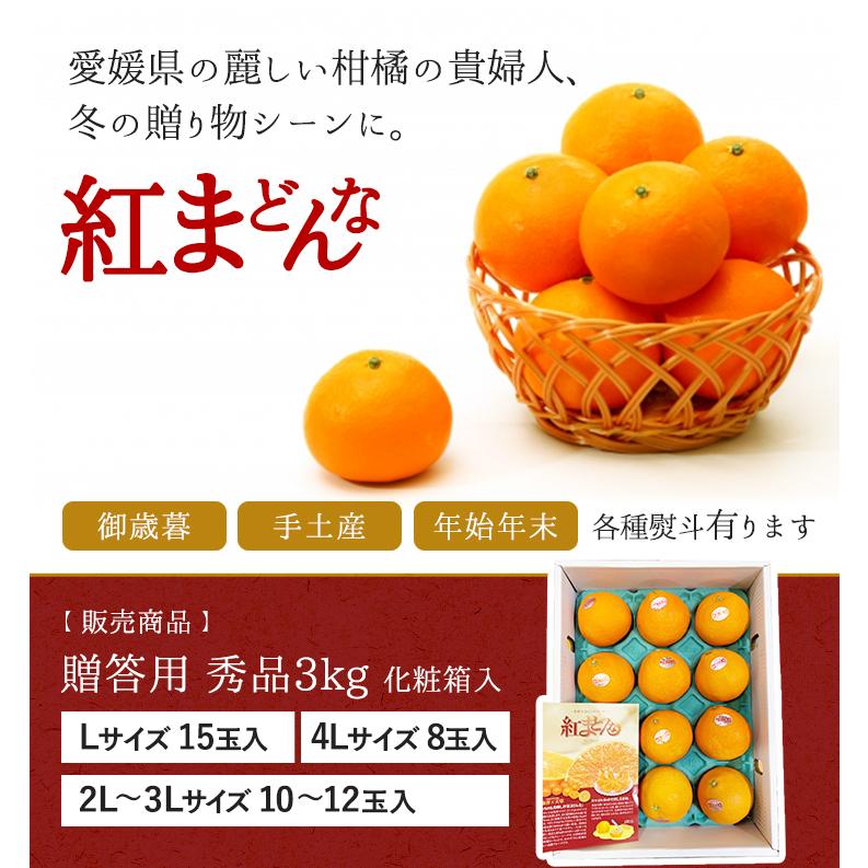 紅まどんな 2L〜3Lサイズ 約3kg 10〜12玉入り 愛媛県産 秀品 愛媛県産 贈答用 ギフト : benim003 : サニーフルーツ岡山 - 通販 - Yahoo!ショッピング