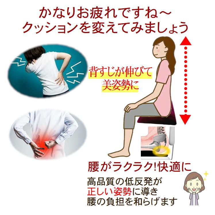低反発クッション 腰痛 椅子用座布団 厚手 10個組 車椅子用 クッション 四角 椅子用 姿勢が良くなる 低反発座布団 車 敬老会 記念品 敬老の日 プレゼント 安価 : s142-10p ...