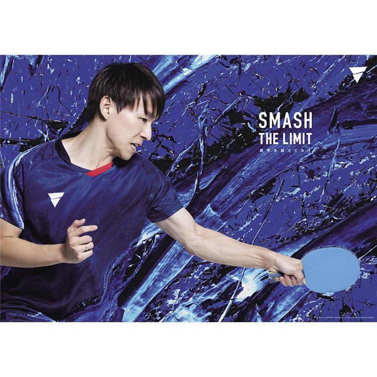 卓球ユニフォーム VICTAS ヴィクタス V-NGS407 V-NGP410 上下セット ゲームシャツ パンツ メンズ レディース 512403 522404 : vic-512403 ...