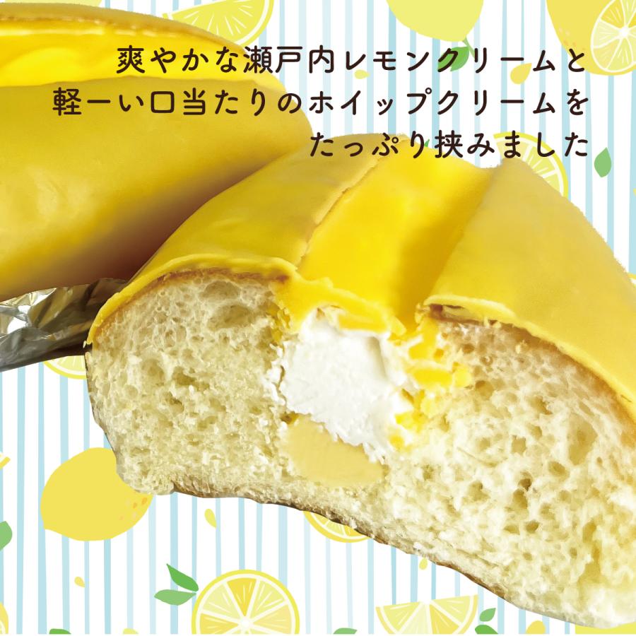 銀チョコ【瀬戸内レモン×2 チョコレート×2】 : 周防大島 うまいもの広場 - 通販 - Yahoo!ショッピング