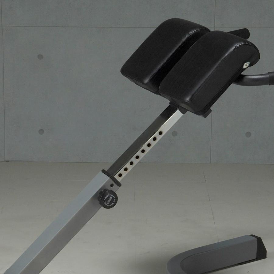 IROTEC IROTEC(アイロテック)バックエクスHPM/ 背筋 背筋強化 IROTEC IROTEC(アイロテック)バックエクスHPM/ 背筋 背筋強化