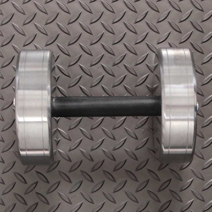 IROTEC（アイロテック）ハードクロームジムダンベル14KG / ダンベル ジムダンベル 鉄アレー 鉄アレイ 筋トレ器具 クロムダンベル クロームダンベル 筋トレ : hcgmd14 ...