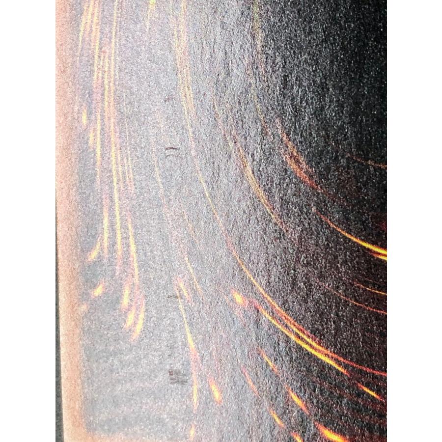 遊戯王オフィシャルカードゲーム デュエルモンスターズ 遊戯王 (キズ有) SOFU-JP040 転生炎獣ヒートライオ (20thシークレットレア) SOUL FUSION 20th ...