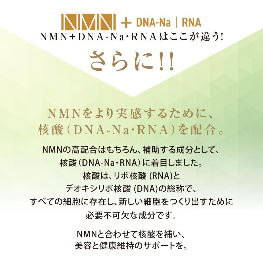 NMN 18000+ サプリメント 60日 リニューアル間近 賞味期限8月迄の為在庫一掃SALE中! 健康食品 国内製造 核酸配合 180粒 1粒100mg配合 DNA-Na RNA 成分量 ...