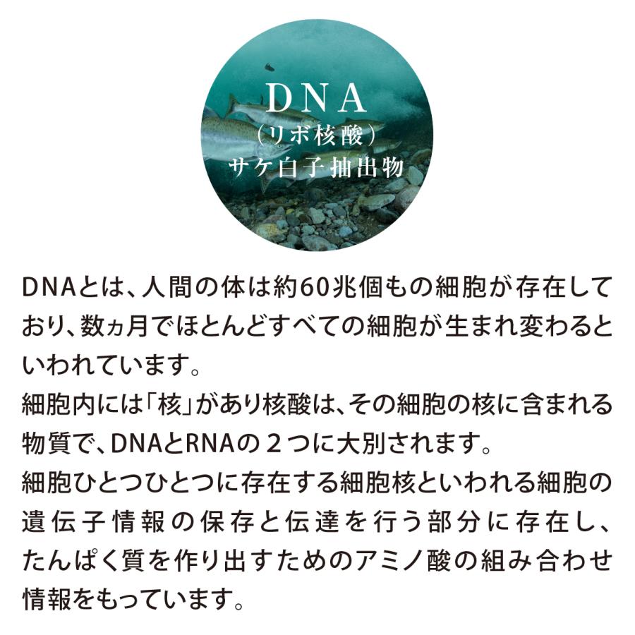 NMN 18000+ サプリ 60日分 2本セット 国内製造 核酸配合 180粒 1粒100mg配合 DNA-Na RNA 成分量分析済 サプリメント daina : superman618 ...