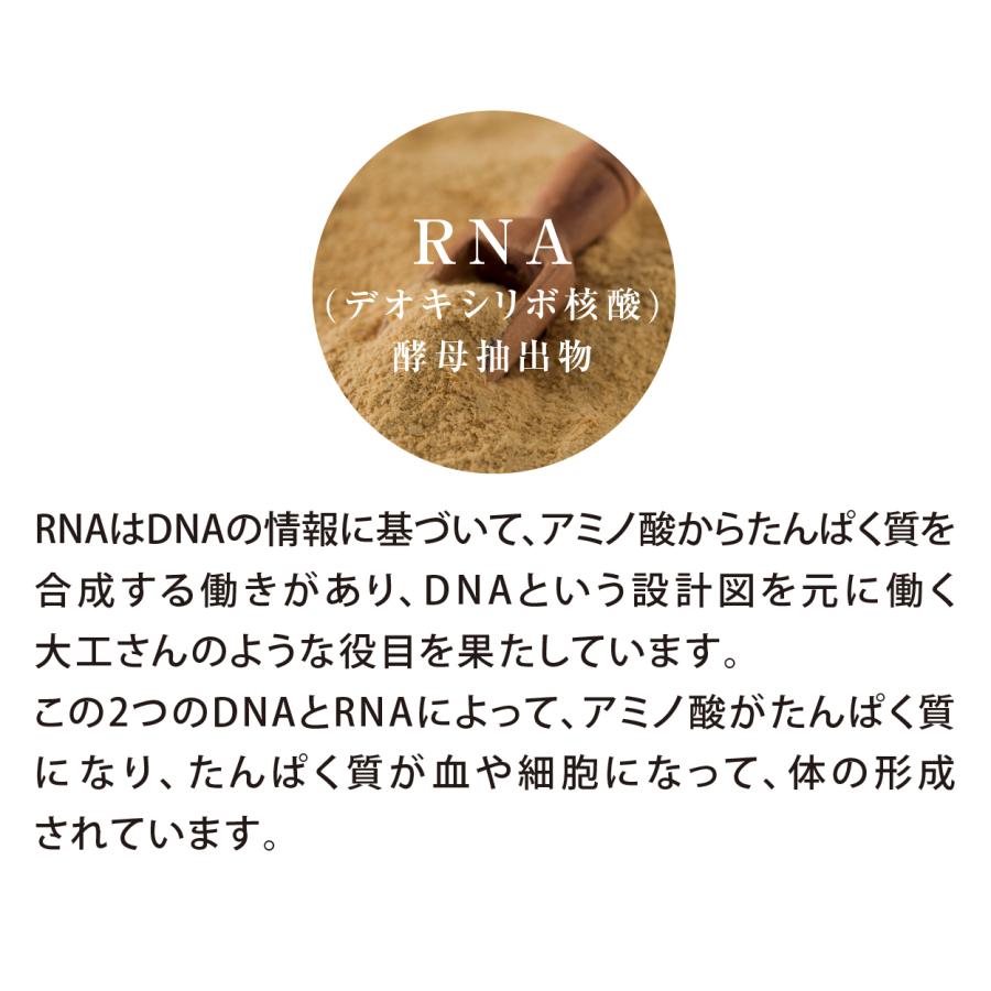 NMN 18000+ サプリ 60日分 5本セット 国内製造 核酸配合 180粒 1粒100mg配合 DNA-Na RNA 成分量分析済 サプリメント daina : superman621 ...