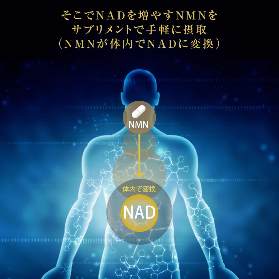 NMN 18000+ サプリ 60日分 5本セット 国内製造 核酸配合 180粒 1粒100mg配合 DNA-Na RNA 成分量分析済 サプリメント daina : superman621 ...