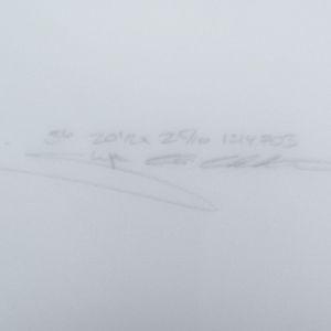 chris christenson クリス クリスティンソン サーフボード G04/OCEAN RACER 5.6 : sf1-272-061 ...