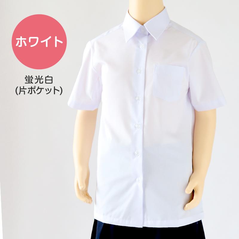 ブランド登録なし スクールシャツ 女子 半袖 中学生 高校生 白 台襟 ブラウス スクールブラウス 140A〜180B 富士ヨット TioTio 通学 女の子 学生 学生シャツ : すててこ ...