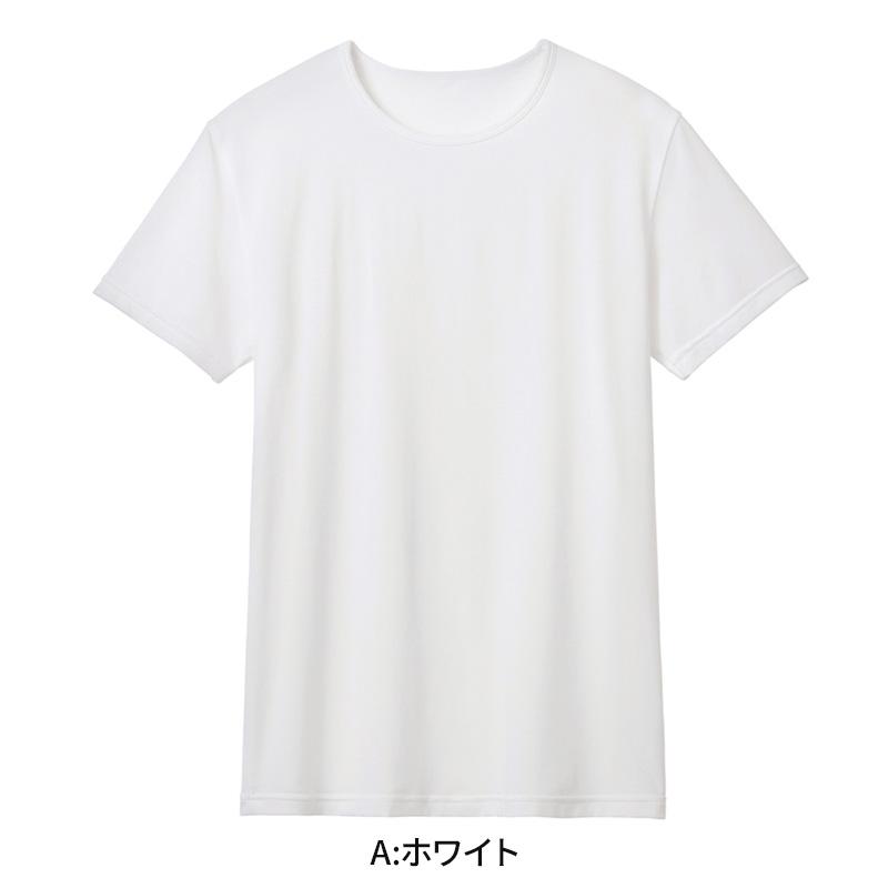 GUNZE アセドロン クルーネック Tシャツ グンゼ メンズ M〜LL gunze 吸汗速乾 消臭 丸首 半袖 シャツ 下着 肌着 インナー 夏 プレゼント ギフト 父の日 : すててこ ...