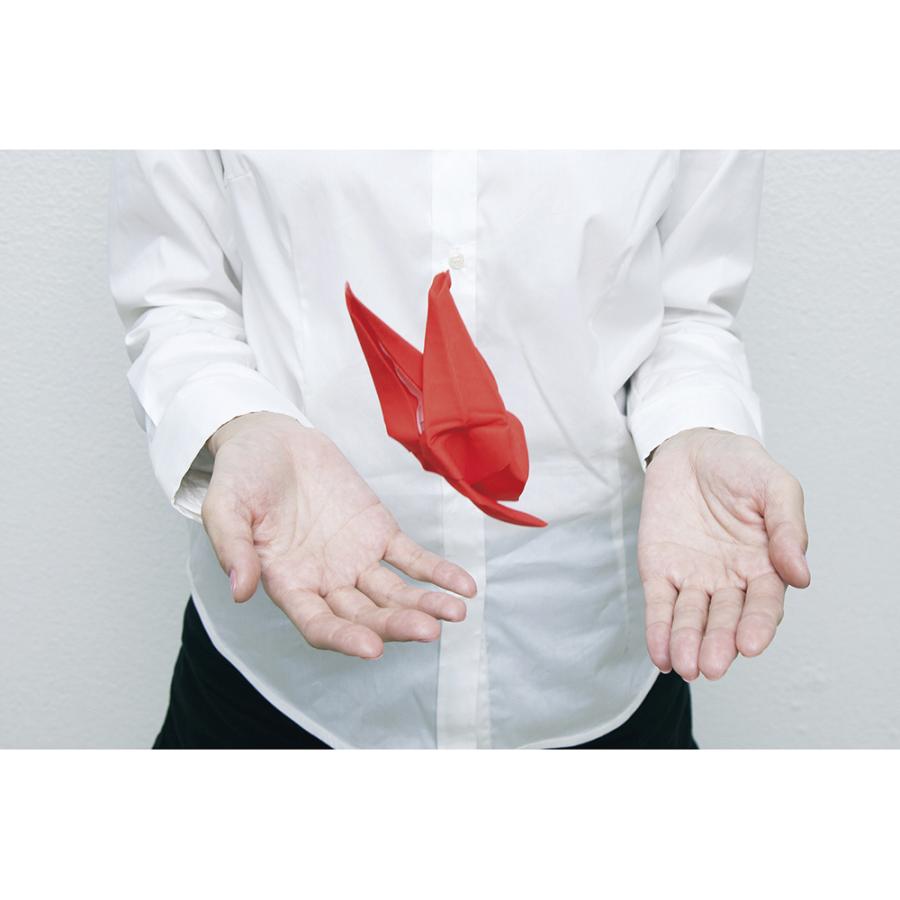 peti peto 形状記憶布 クリーニングクロス ナリカ S77-1840 : s77-1840 : 鈴盛オンラインショップ - 通販 - Yahoo!ショッピング