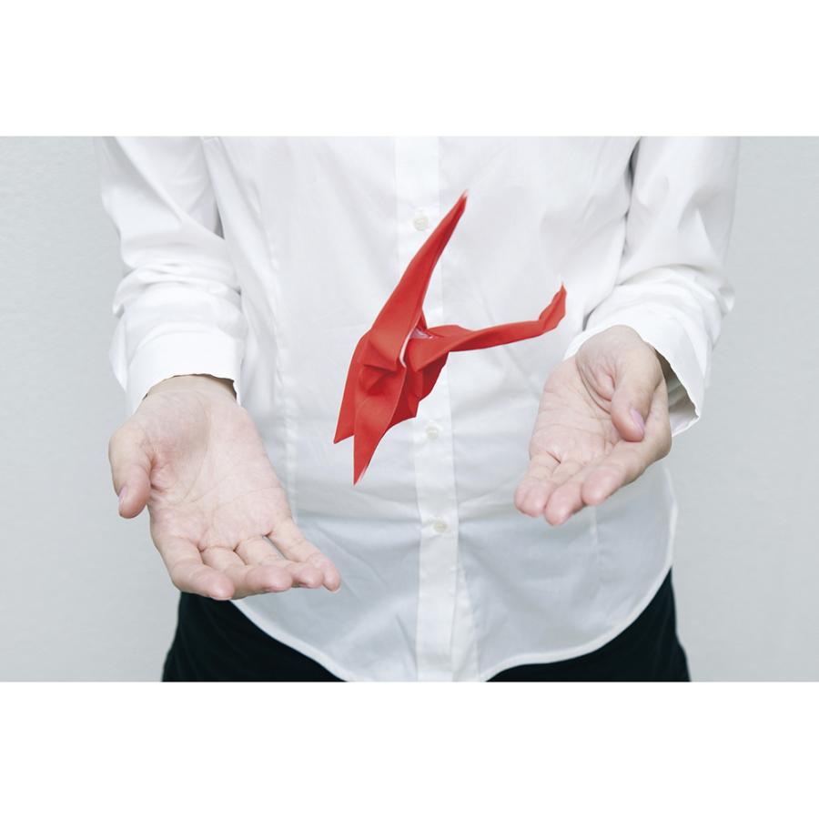 peti peto 形状記憶布 クリーニングクロス ナリカ S77-1840 : s77-1840 : 鈴盛オンラインショップ - 通販 - Yahoo!ショッピング