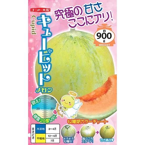 野菜種子 超高糖度メロン「キューピット」 7粒（ナント種苗）【送料込み】 プリンス系 ノーネット 甜瓜 マクワウリ 早生 多収 輸送性 日持ち ...