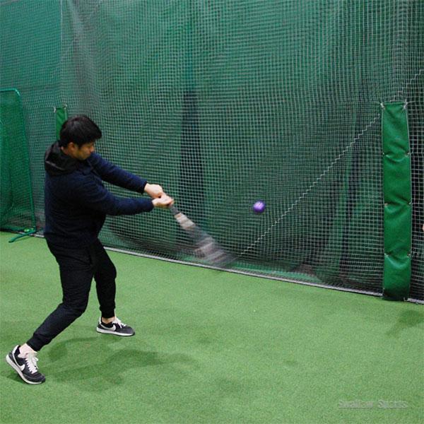 FIELD FORCE 野球 フィールドフォース バッティング練習 サンドボール インパクトパワーボール 300g FIMP-300G-EC 5球セット Fieldforce 野球用品 ...