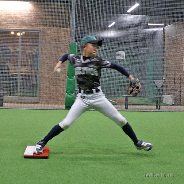 野球 フィールドフォース ピッチプレート ピッチング 投球 トレーニング 練習 FPP-1046 Fieldforce :fld-fpp-1046:野球用品専門店スワロースポーツ - 通販 ...