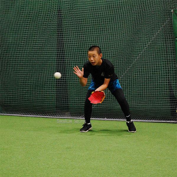 あすつく 【湯もみ型付け不可】野球 フィールドフォース トレーニング グローブ グラブ フィールディングマスター FTRG-2024 ...