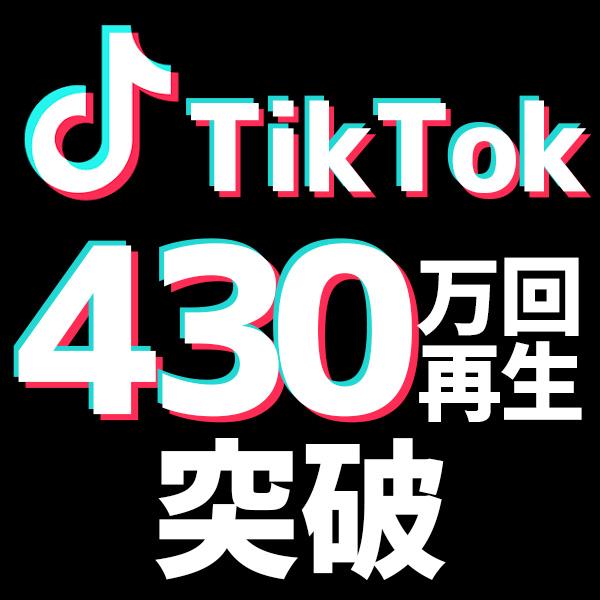 FIELD FORCE 野球 フィールドフォース グラウンド整備 スポンジ 110cm 約1.8kg 少年野球 中学野球 高校野球 チーム用品 雨 吸水トンボ FWT-1128 ...