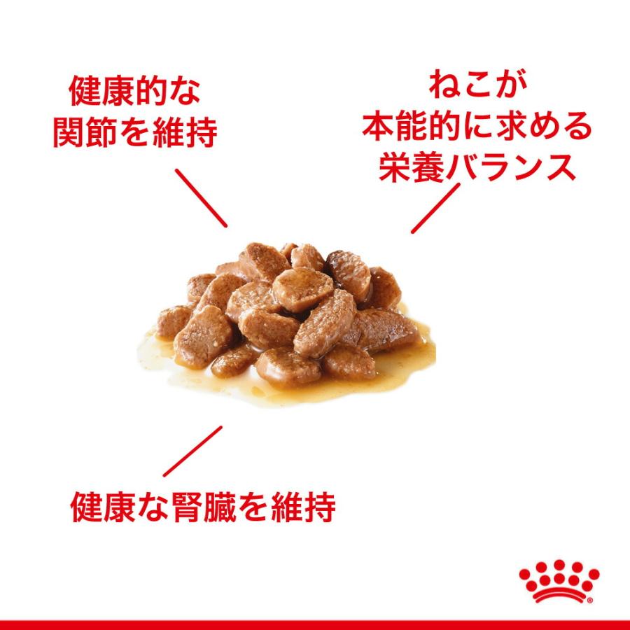 【85g×48袋】ロイヤルカナン FHN-WET エイジング12＋ (猫・キャット)[正規品] :set3427ro:スイートペットプラス - 通販 - Yahoo!ショッピング