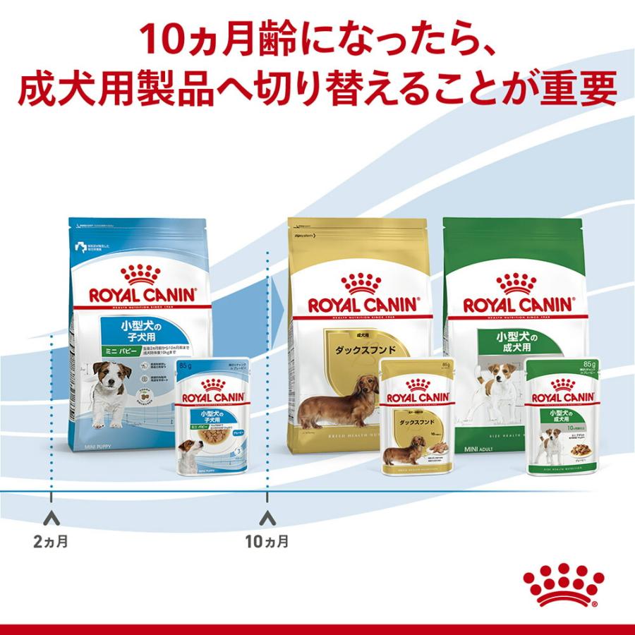 ロイヤルカナン 【メール便】【85g×6袋】ロイヤルカナン SHN ウェット ミニパピー 小型犬の子犬用10ヶ月齢まで (犬・ドッグ) [正規品] : スイートペットYahoo!店 - 通販 ...