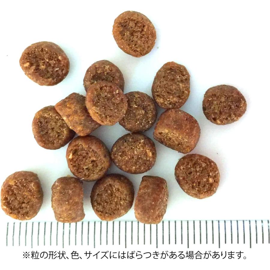 WELLNESS（ペット） ウェルネス コア 室内猫用 成猫用 1歳以上 骨抜きチキン 2.26kg(猫・キャット)[正規品] : スイートペットYahoo!店 - 通販 - Yahoo!ショッピング