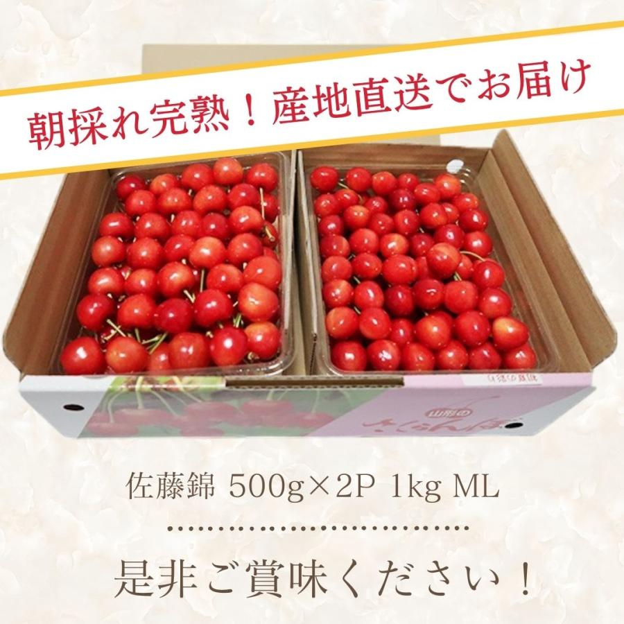さくらんぼ 【フルーツ彩】 佐藤錦 500g×2P 1kg ML 山形県上山市 《6/中旬〜6/下旬の出荷》 : にこやか産直アーケード - 通販 - Yahoo!ショッピング