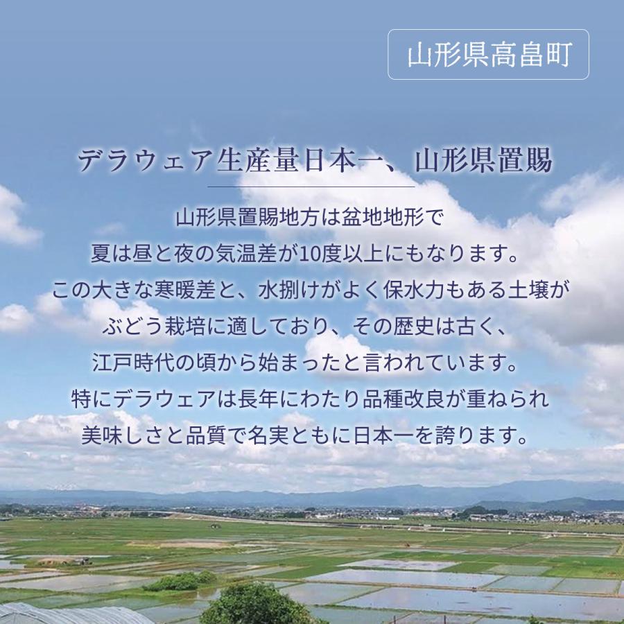 ぶどう 【Hinataぶどう園】 デラウェア 1kg L~2L 6~7房 山形県高畠町 《7/下旬〜8/中旬の出荷》 : にこやか産直アーケード - 通販 - Yahoo!ショッピング