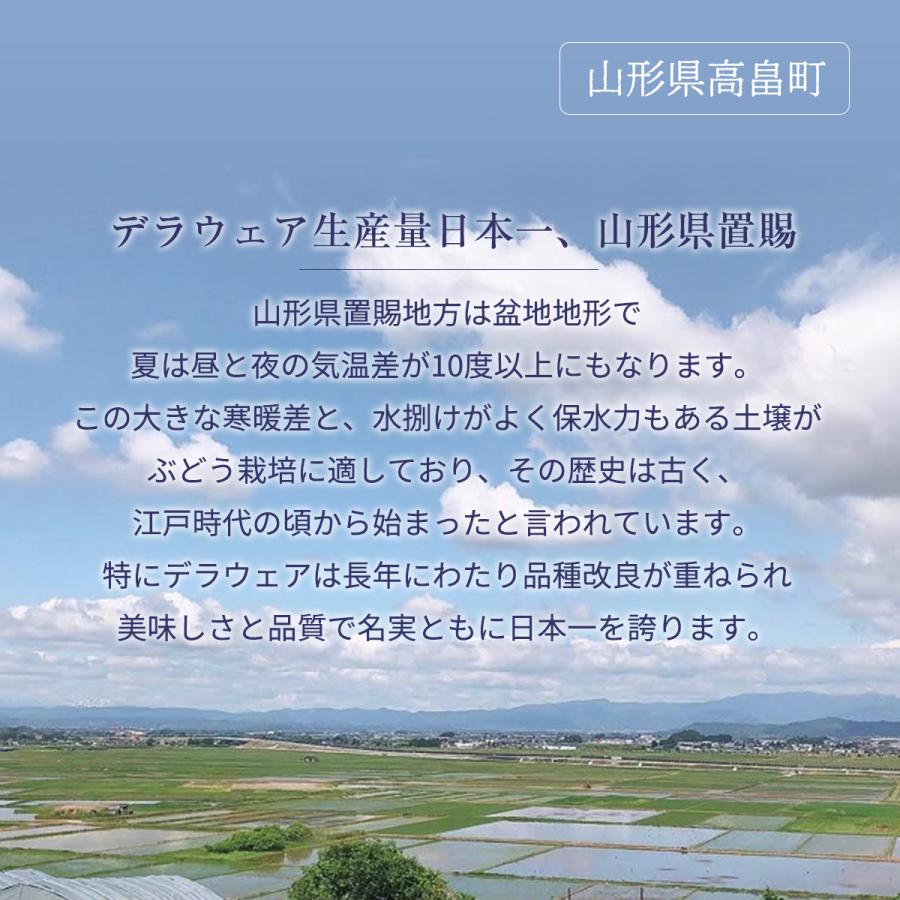 ぶどう 【Hinataぶどう園】 デラウェア 2kg L~2L 12〜16房 山形県高畠町 《7/下旬〜8/中旬の出荷》 : にこやか産直アーケード - 通販 - Yahoo!ショッピング