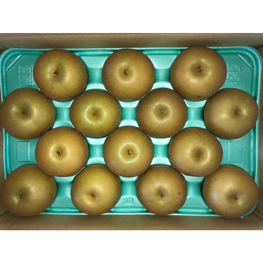 梨 【 大塚果樹園 】 白井の梨 5kg 10〜16個 贈答用 しろいの梨 千葉県白井市《9/上旬〜9/中旬より出荷》 : にこやか産直アーケード - 通販 - Yahoo!ショッピング