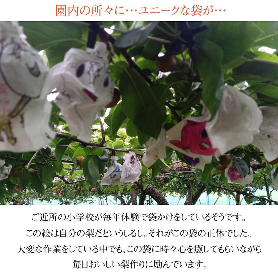 梨 【 佐藤果樹園 】 3kg 5〜8個 贈答用 新潟県三条市 《9/中旬〜9/下旬より出荷》 : nashi-niigata-sato1 : にこやか産直アーケード - 通販 - Yahoo ...
