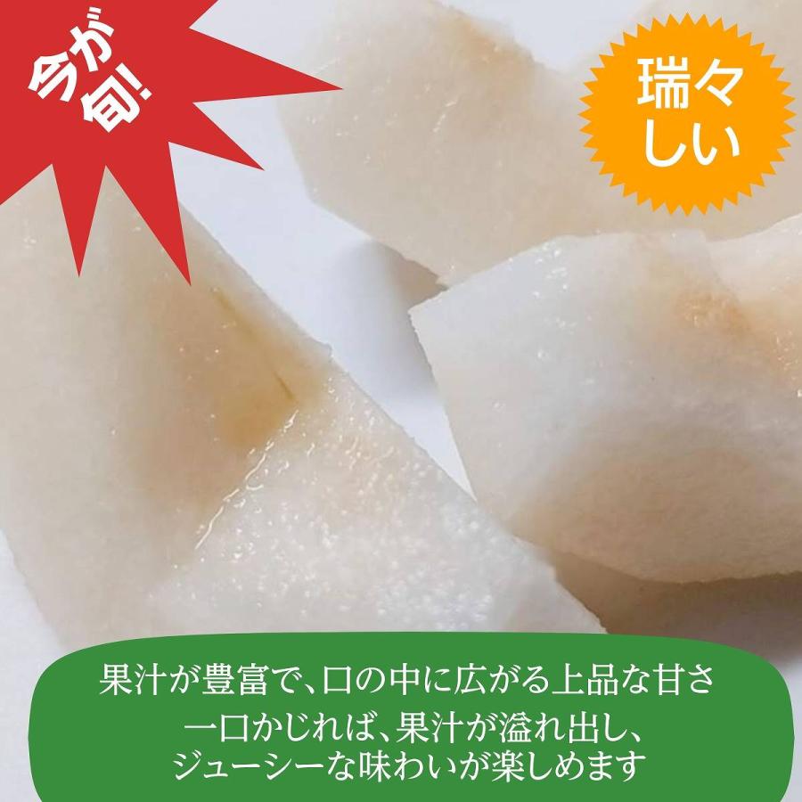 梨 【 佐藤果樹園 】 3kg 5〜8個 贈答用 新潟県三条市 《9/中旬〜9/下旬より出荷》 : nashi-niigata-sato1 : にこやか産直アーケード - 通販 - Yahoo ...