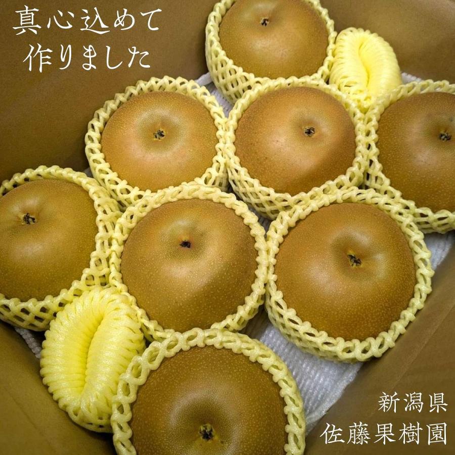 梨 【 佐藤果樹園 】 3kg 5〜8個 贈答用 新潟県三条市 《9/中旬〜9/下旬より出荷》 : nashi-niigata-sato1 : にこやか産直アーケード - 通販 - Yahoo ...