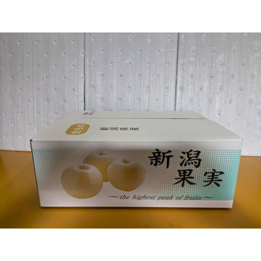 梨 【 佐藤果樹園 】 3kg 5〜8個 贈答用 新潟県三条市 《9/中旬〜9/下旬より出荷》 : にこやか産直アーケード - 通販 - Yahoo!ショッピング
